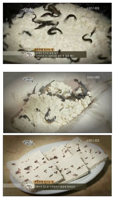 약혐)미꾸라지 두부 | (백업)유머 게시판(2017-2018) | RULIWEB