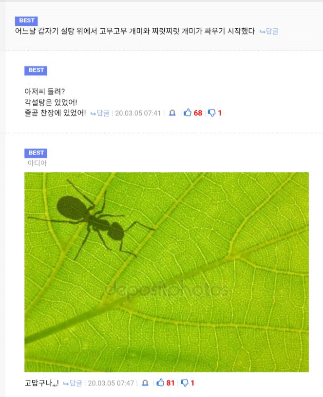 거짓말쟁이 노랜드.gif | 유머 게시판