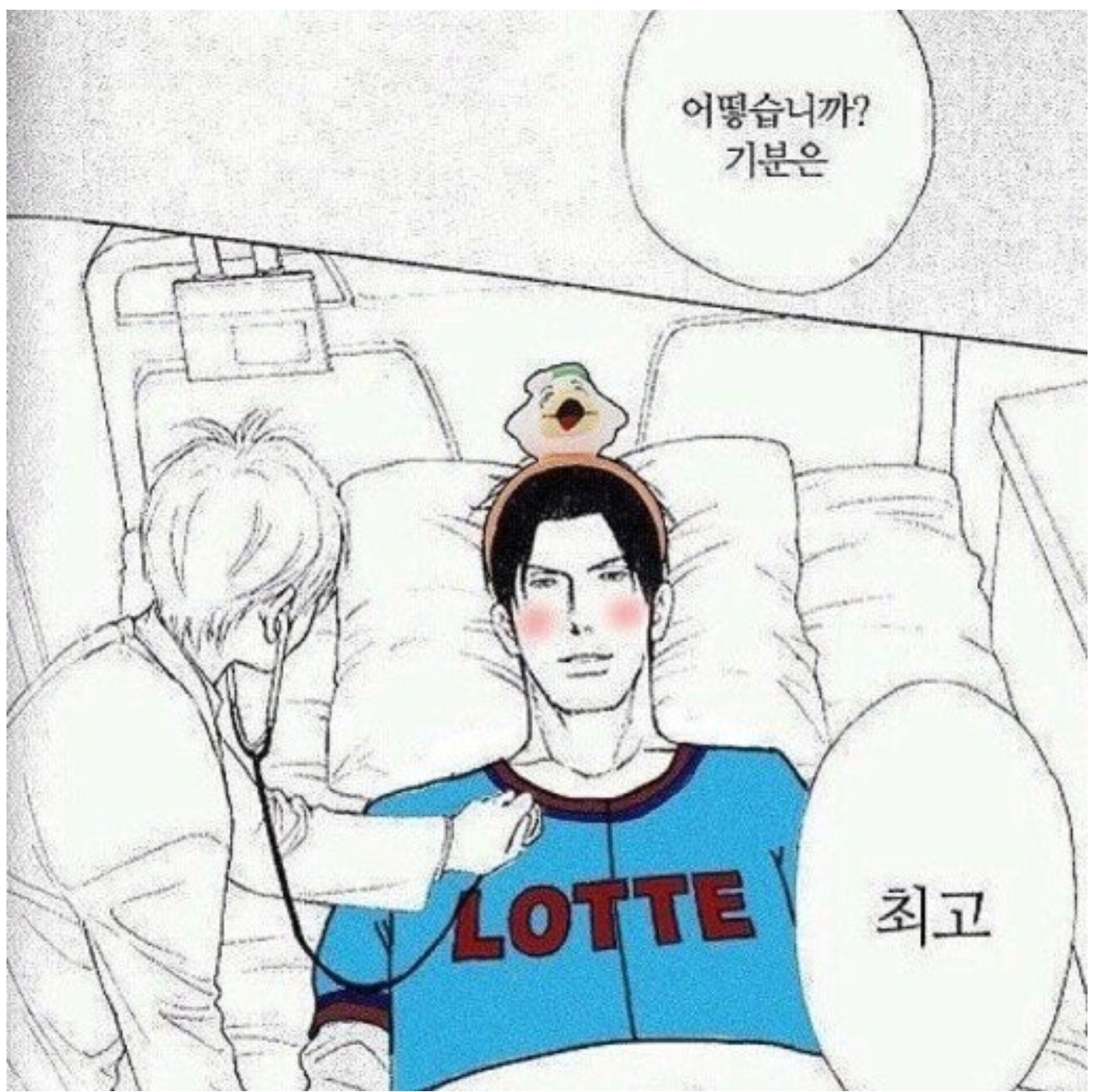 KBO 롯데 자이언츠 팬들 기분류 甲