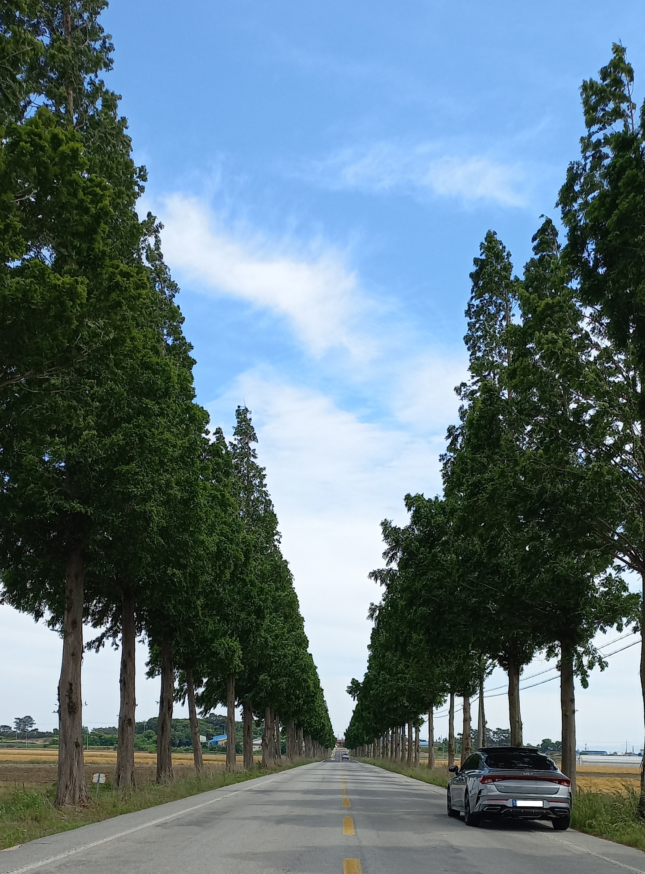 폰쓰는애들 바탕화면 뭐임? | 유머 게시판