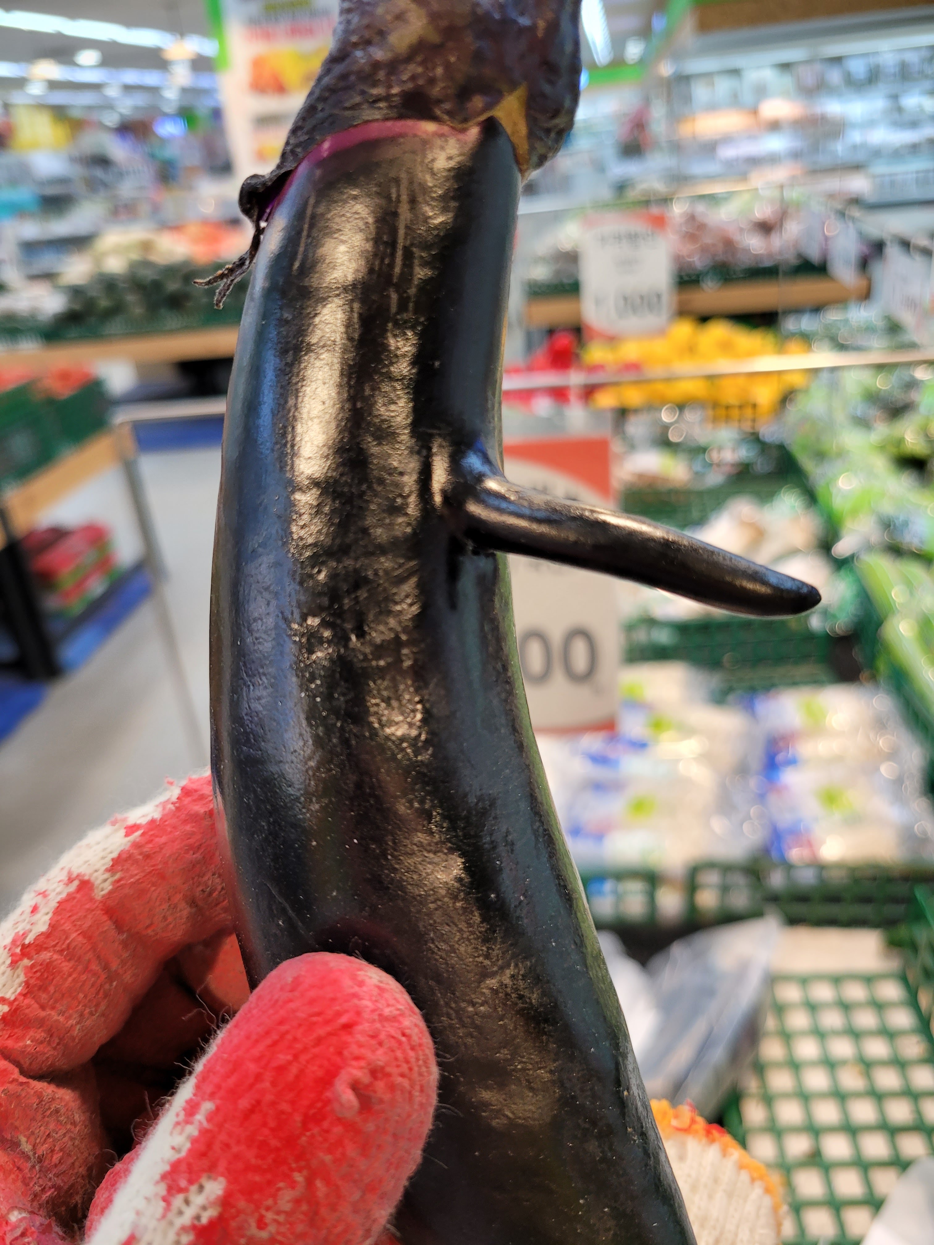 JK퇴마부 | 유머 게시판