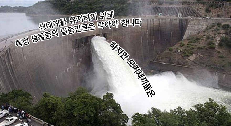 증오하지 마시오 오직 비인간적인 자들만이 증오합니다