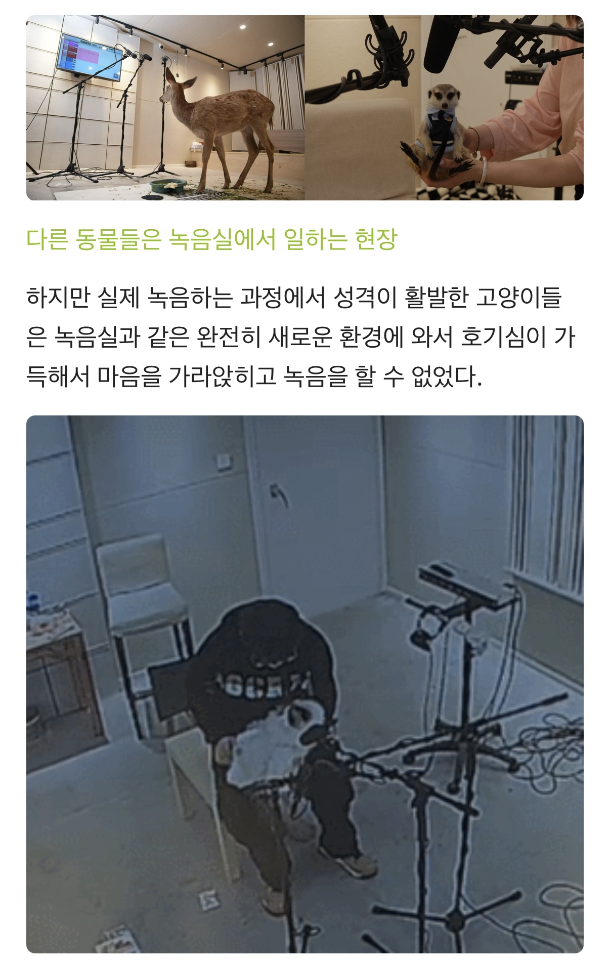 수백억원을 단 4일만에 태우는 방법