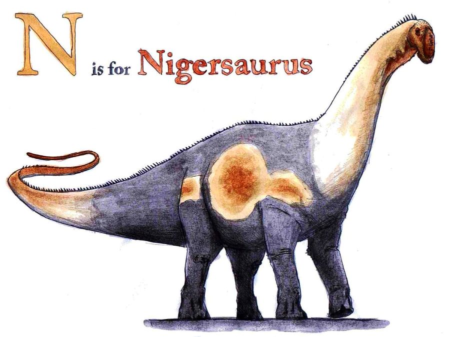 이름이 좀 인종차별적이지 않아요