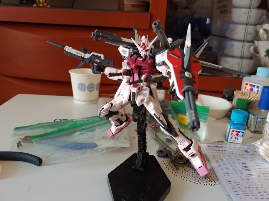 RG 스트라이크 루즈 IWSP