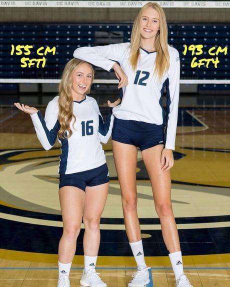 키 155cm 키 193cm 차이 | (백업)유머 게시판(2020-2021)