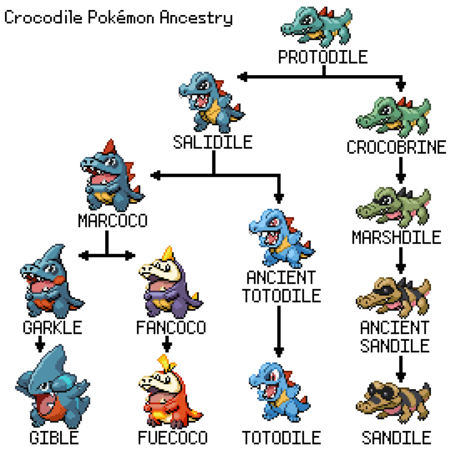 포켓몬 팬분이 만든 포켓몬들의 계통진화표 | 유머 게시판 | RULIWEB