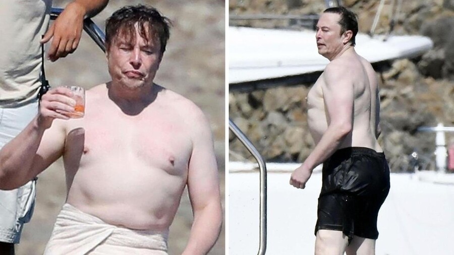 머스크vs랩틸리언은 내기가 안되네 | 유머 게시판