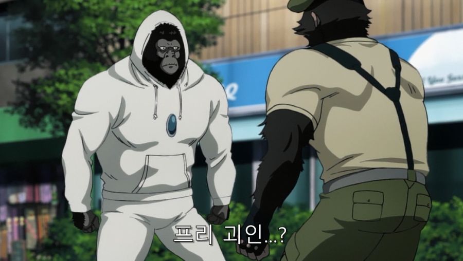 원펀맨) 고릴라와 고릴라 | 유머 게시판