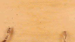 전기로 그림 그리기 | (백업)유머 게시판(2017-2018)