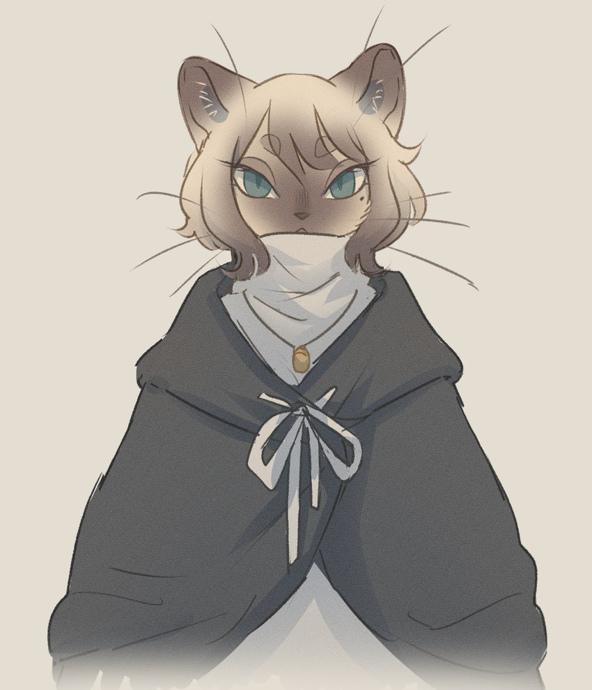 애옹 수도사 | LIVE RULIWEB