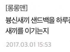 고인물들 패턴.jpg (백업)유머 게시판(2017-2018) RULIWEB