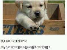 마음에 들었던 간호사 고백해서 혼내줬다.ssul | (백업)유머 게시판(2018-2020)