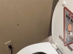 콘정게 메인에서 좀 내려갔으면 좋겠다 | 유머 게시판