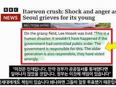 BBC기사 내 Lee insook 가 누구냐 쿠뽀 | 정치유머 게시판