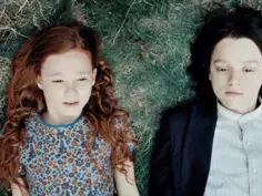 해리포터) 사실 NTR도 BSS도 아니었던 것 | 유머 게시판