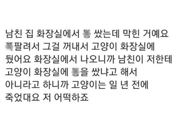 자신의 체면이 무엇보다 중요하면 벌이는 행동.ssul | 유머 게시판 | RULIWEB