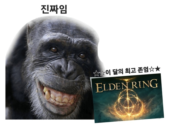 엘든링) DLC 출시 발표 언제해... | 유머 게시판 | RULIWEB