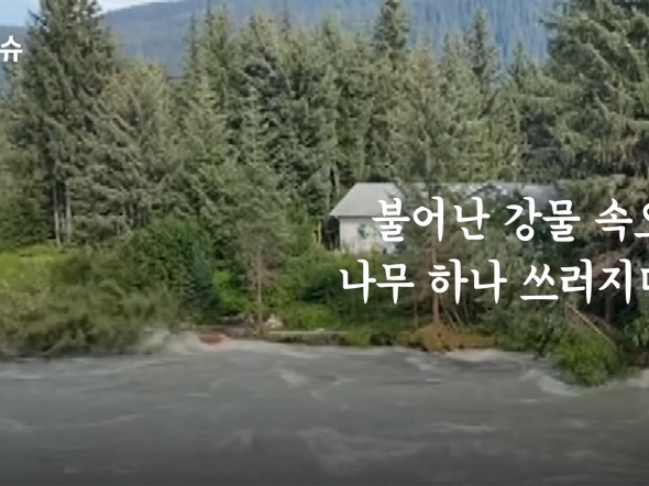 속보) 영화가 아닌 실제상황...'알레스카 대붕괴 중' | 유머 게시판