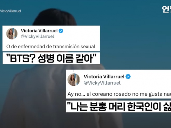 "BTS? 성병 이름" "분홍 한국인 싫어"… | 정치유머 게시판 | RULIWEB