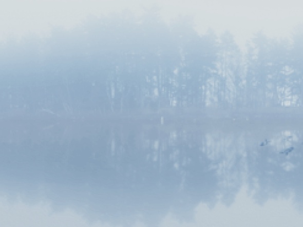 [버튜버] [SCP] 미치르 여왕님이 제일 좋아한다는 물 속의 시체에 대하여 | 유머 게시판