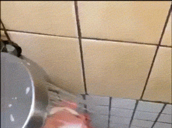 공포의 목욕탕.gif | 유머 게시판 | RULIWEB