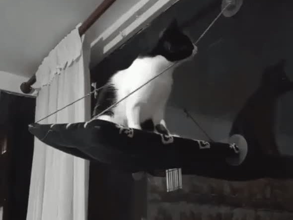 개그만화에서 자주보이는 낙하패턴.mp4 | 사사 | RULIWEB