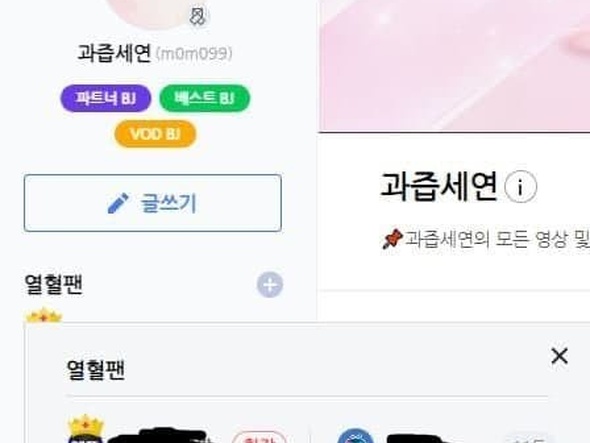 방시혁이랑 스캔들 난 BJ과즙세연 부회장 근황 | 유머 게시판 | RULIWEB