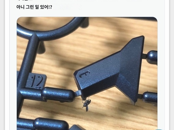 RG 지옹 스페셜코팅에 벌레가 같이 코팅 | 프라모델 이야기 | RULIWEB