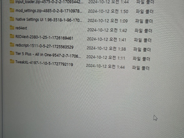 사펑 모드 질문 | 사이버펑크 2077 | RULIWEB