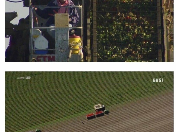 그 암살당한 ceo가 농부집안이라 그러는데.. | 유머 게시판 | RULIWEB