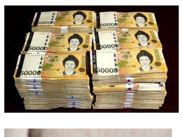 여기 100억원과 아기 고양이가 있습니다 | 유머 게시판 | RULIWEB