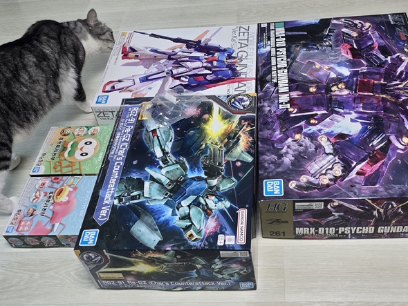 오늘자 냥베 원정 결과물 feet 당근