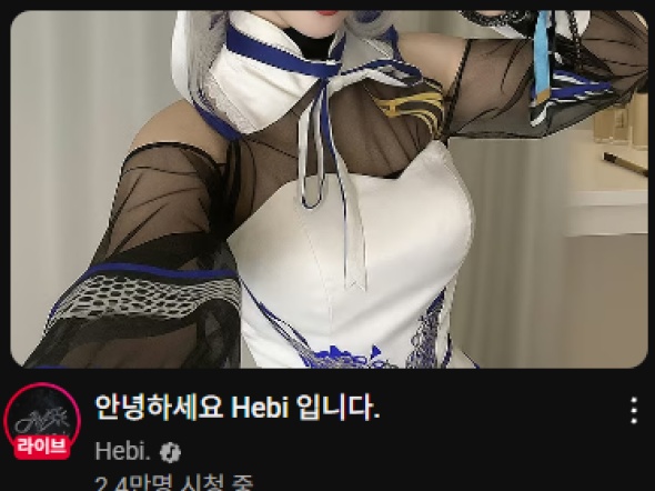 버튜버 Hebi가 누군데 평청자 2만에 커버곡 5000만이야