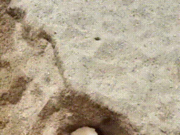 혐오공포터널 공사중 붕괴해서 산체로 생매장 당하는gif